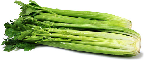 Celery - Large Whole - fresh