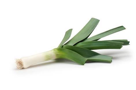 Leek (small) - fresh