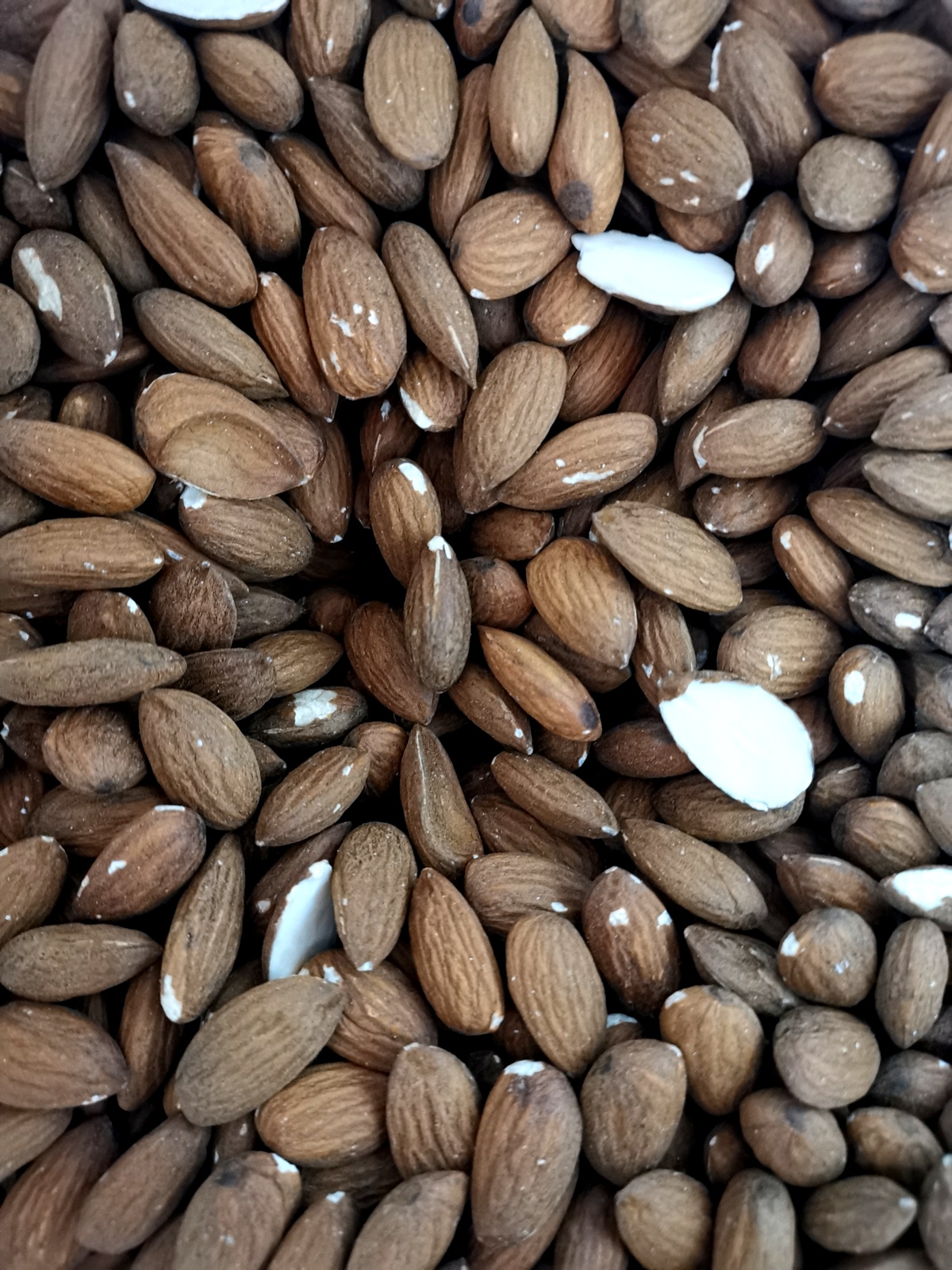 Raw Almonds, YUNIS Biodynamic 200g